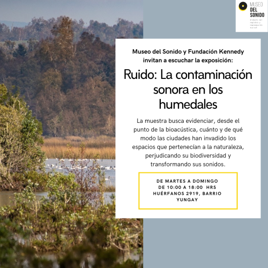 Exposición Sonora RUIDO: LA CONTAMINACIÓN SONORA EN LOS HUMEDALES ...